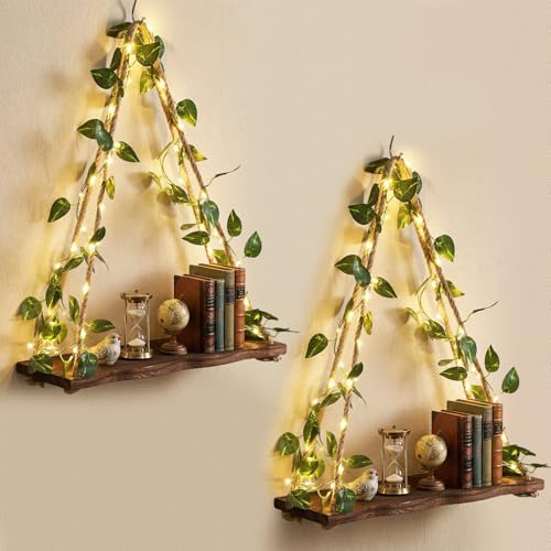 Amazon.com: AceOrbit 2 Set Floating Shelves for Wall, Plant Wall Decor ...