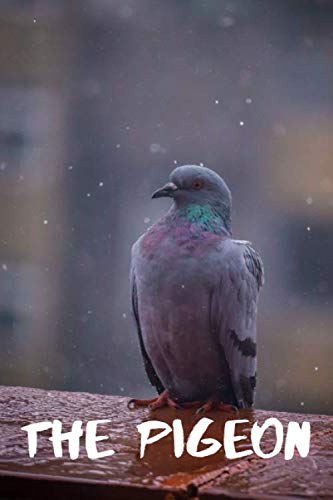 The Pigeon: Notebook for animal lovers (110 Pages, blank, 6 x 9)great ...