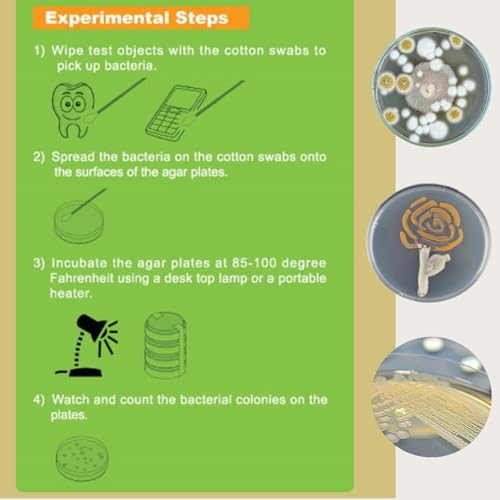 EZ BioResearch Bacteria Science Fair Project Kit for Ages 5+ - Future ...