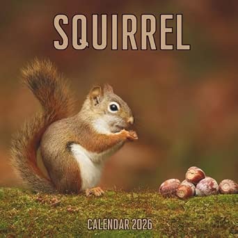Squirrel Calendar 2026: 14-Month Organizer from Nov 2025 to Dec 2026 ...