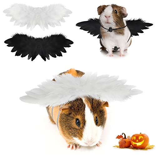 Top 10 Halloween Costume For Rabbit of 2022 - Katynel