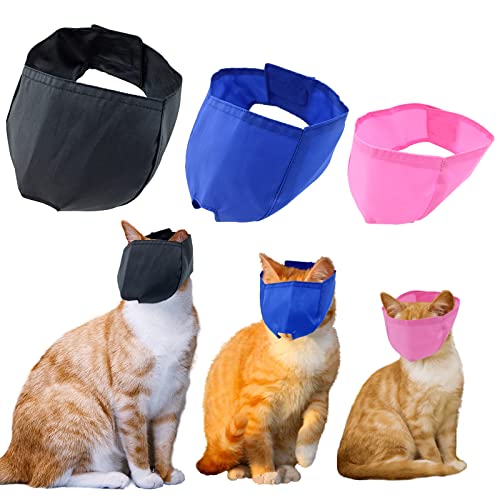 Cat Muzzle – The 15 best products compared - Wild Explained