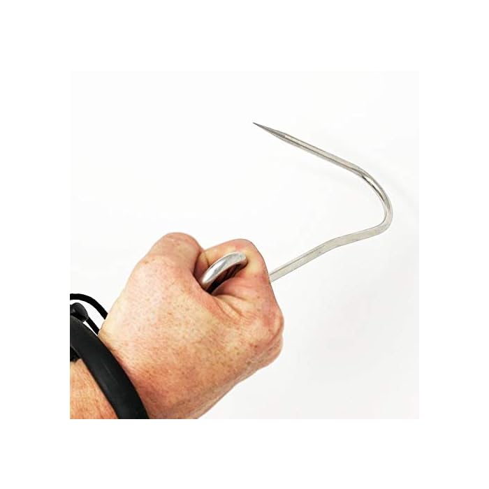 Buy Rogue Endeavor Fishing Gaff Hook, Stainless Steel with Integrated ...