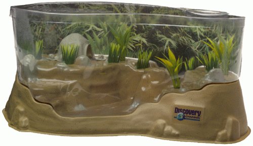 Buy Animal Planet Frog Terrarium - Science Kit for Children, Ages 6 ...