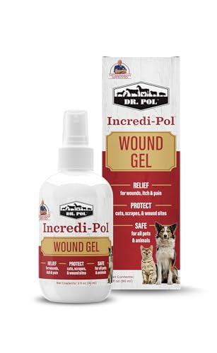Cat Wound Care – The 15 best products compared - Wild Explained
