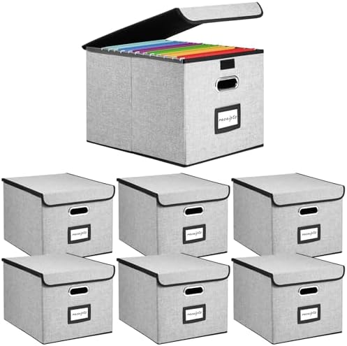 Amazon.com : PRANDOM File Organizer Box - Set of 1 Collapsible ...