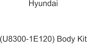 Amazon.com: Genuine Hyundai (U8300-1E120) Body Kit : Automotive
