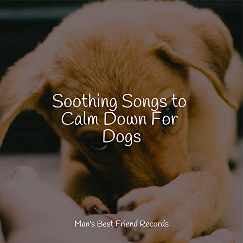 soothing-songs-to-calm-down-for-dogs-by-relaxmydog-jazz-music-for-dogs