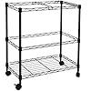 Amazon.com: Oceanstar Portable 2-Tier Metal Rolling File Cart, Black ...