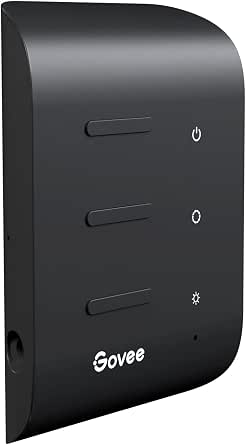 Amazon.com: Govee Control Box for H605C112 : Tools & Home Improvement