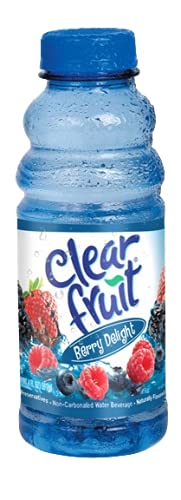 Amazon.com: 12 Pack Clear Fruit Water 20 Ounce Bottles Non Carbonated ...