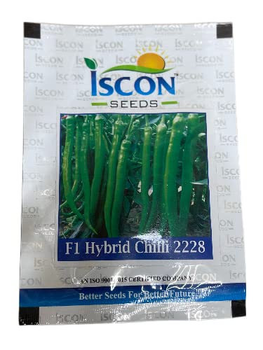 F1 Hybrid Chilli 2228 PACK OF 2 : Amazon.in: Garden & Outdoors