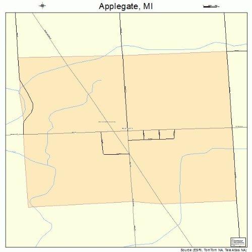 Large Street & Road Map of Applegate, Michigan MI - Printed poster size ...