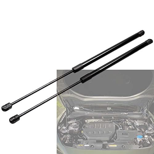 Amazon.co.uk Best Sellers: The most popular items in Car Bonnet Gas Springs