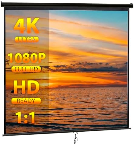 Amazon.com: ZENY 120'' Projector Screen Manual Pull Down, 1:1 Indoor ...