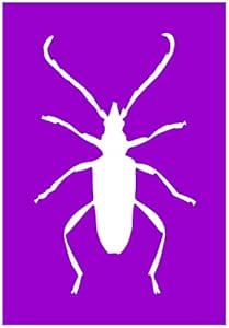 Amazon.com : Auto Vynamics - STENCIL-INSECTS-04 - Insect Design 4 ...