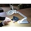 LAMPE LOUPE - Néon Daylight Fluorescent : Amazon.fr: Luminaires et ...