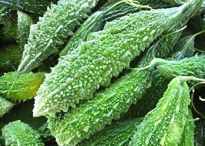 Creative Farmer Bitter Gourd Seeds (White Large) - [Pavakka,Paagarkaai ...