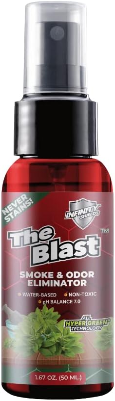 Amazon.com: The Blast Smoke Odor Eliminator Spray - Air freshener Cars ...
