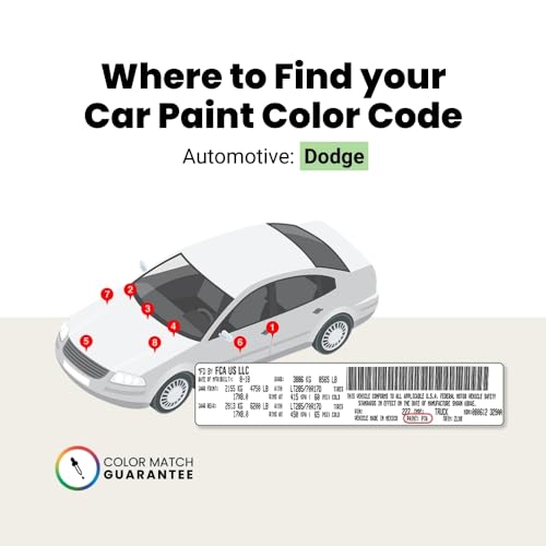 해외직구전문 쇼핑365 TouchUpDirect PVP/NVP Go Mango Compatible with Dodge Exact ...