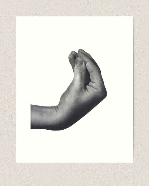 Amazon.com: Humor Italian Hand Gestures Pinched Fingers Poster ...