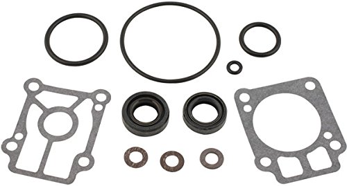 Prestolite 9-74803 Lower Unit Seal Kit : Amazon.in: Car & Motorbike