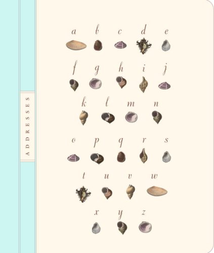 Seashell Mini Address Book: Potter Style: 9780307342317: Amazon.com: Books