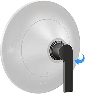 MOENTROL HANDLE KIT BL - Amazon.com