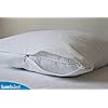 Amazon.com: Set of 2 Standard Size SureGuard Pillow Protectors - 100% ...