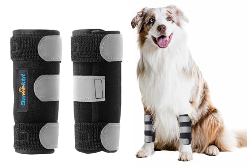 Knuckling In Dogs – The 15 best products compared - Wild Explained
