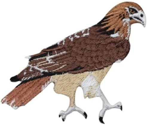 Amazon.com: Red Tail Hawk Iron on Applique Patch - Talons, Majestic ...