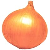 ・ブランド:なえ屋・製造元:なえ屋・貯蔵性抜群！　肉厚で美味しい！　・強勢で作りやすい中晩生貯蔵種。熟期は、貯蔵種としては早めにとれる中晩生種で6月上中旬収穫。長期貯蔵に最適で、貯蔵病害も少ない品種です。・1月後半から追肥し、止め肥えは中間...