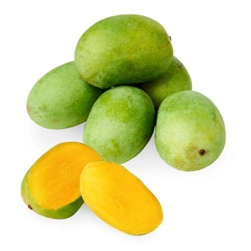 NANDINI GARDEN Hybrid Grafted Langra Nangra Mango Mangifera indica Aam ...