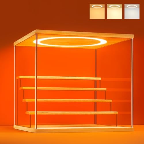 Amazon.com: DORYBEN Acrylic Display Case with Adjustable LED Light, 5 ...