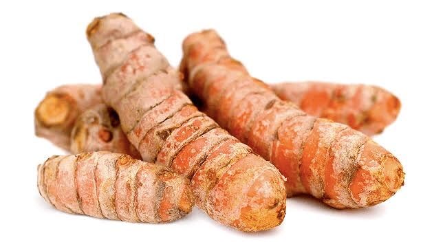 M-Tech Gardens Rare Hybrid Turmeric Rhizome Tuber (Turmeric - 5 ...