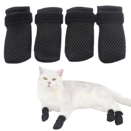 Cat Shoes – The 15 best products compared - Wild Explained