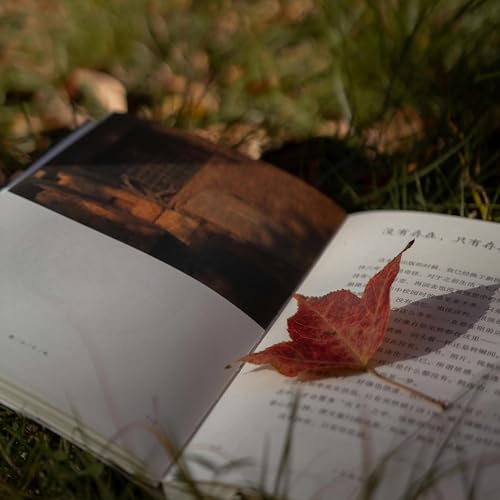 Play A Page Where I Can Rest by am04:00 on Amazon Music Unlimited