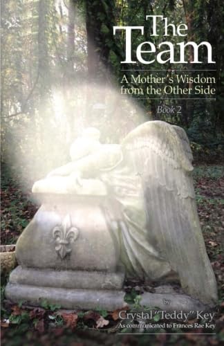 The Team: A Mother's Wisdom from the Other Side - Book 2 (The Team ...