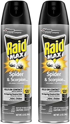 Amazon.com: Raid Spider and Scorpion Killer, Kills Spiders, Scorpions ...