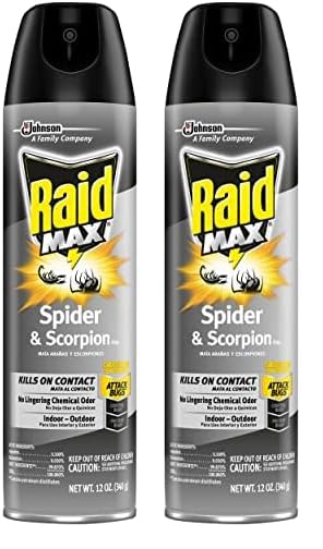 Amazon.com: Raid Spider and Scorpion Killer, Kills Spiders, Scorpions ...