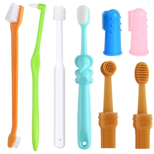 Cat Toothbrush – The 15 best products compared - Wild Explained