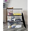 WHATMORE CRYSTAL 45L BOX & LID CLEAR 10870 : Amazon.co.uk: Home & Kitchen