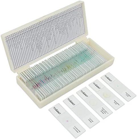 50pcs Prepared Microscope Slides Set with Specimens, Plants Insect ...
