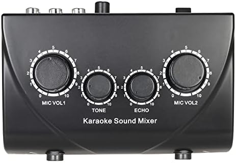 QUKAN Portable Karaoke Sound Audio Stereo Echo Mixer Dual Microphone ...