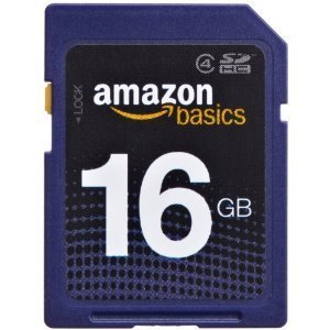 AmazonBasics 16GB Class 4 SDHC Secure Digital Card - Buy AmazonBasics ...