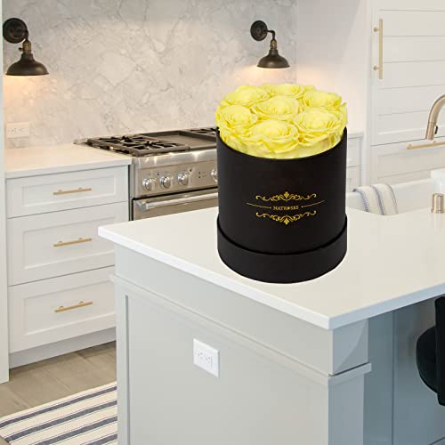 NATROSES 7 Piece Preserved Roses in a Box, Preserved Flowers for ...
