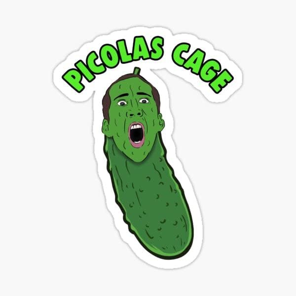Amazon.com - Picolas Cage Bumper Sticker Window Vinyl Decal 5"