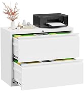 Amazon.com: INTERGREAT 2 Drawer File Cabinet, White Metal Filing ...