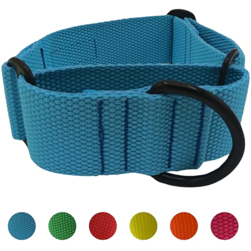 Pack collar y correa a juego para galgos - Arteisa | Objetos de arte