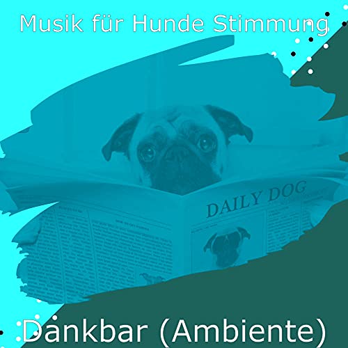 Dankbar (Ambiente) de Musik für Hunde Stimmung en Amazon Music Unlimited